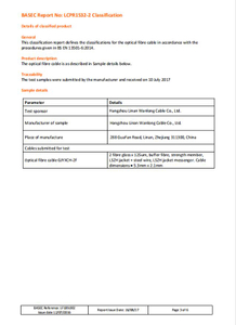 HangZhou LinAn WanLong Cable CO.,Ltd